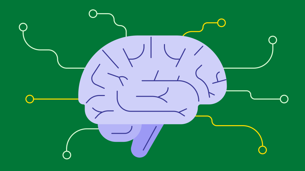 Knowledge Management Brain