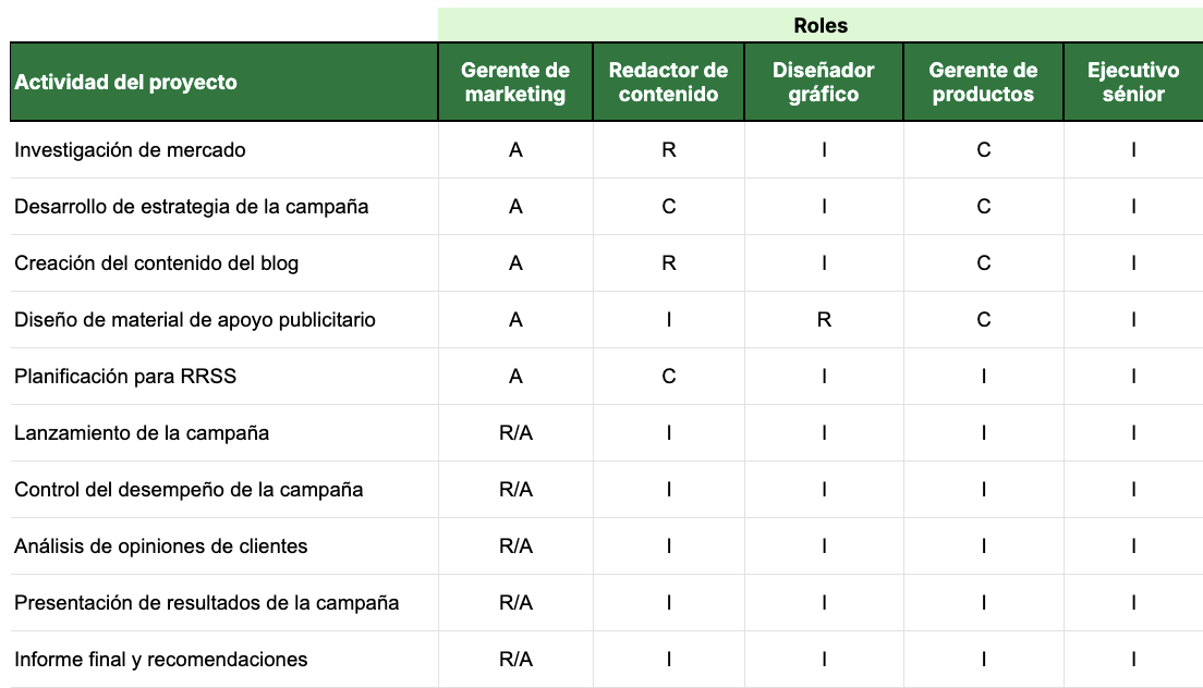 Matriz De Roles Y Responsabilidades