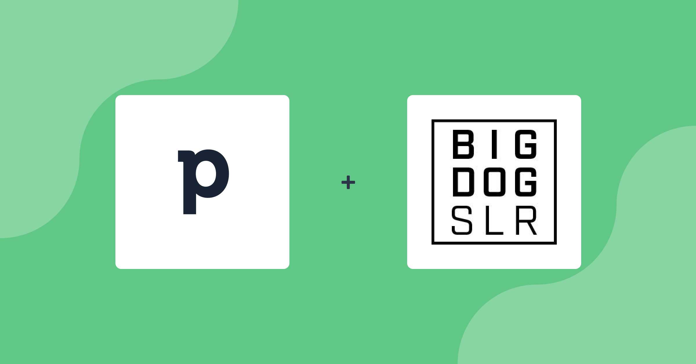 Fallstudie Big Dog Solar | Pipedrive